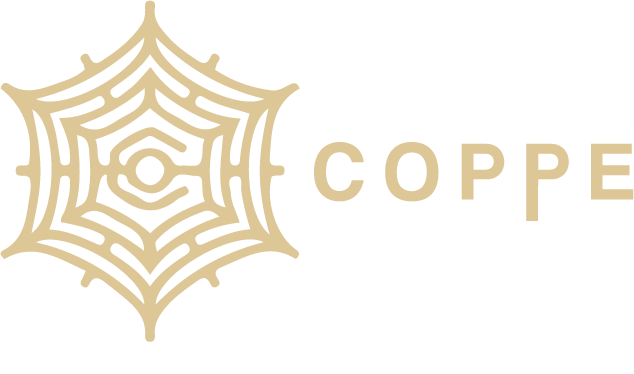 Are you really safe? - Coppe